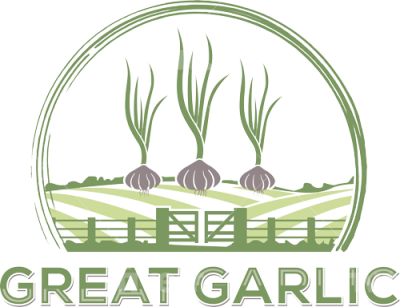 Garlic Bulbils - Great Garlic